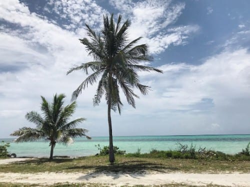 ᐅ Las 10 Mejores Playas de Bahamas 【2022】IMPRESIONANTES